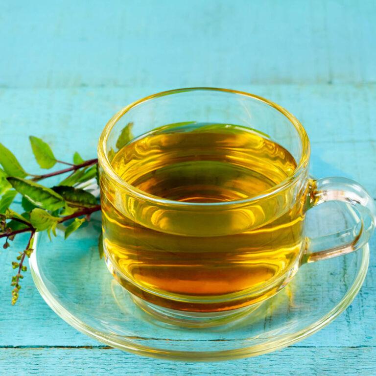 venadillo planta medicinal - MasPlantillas