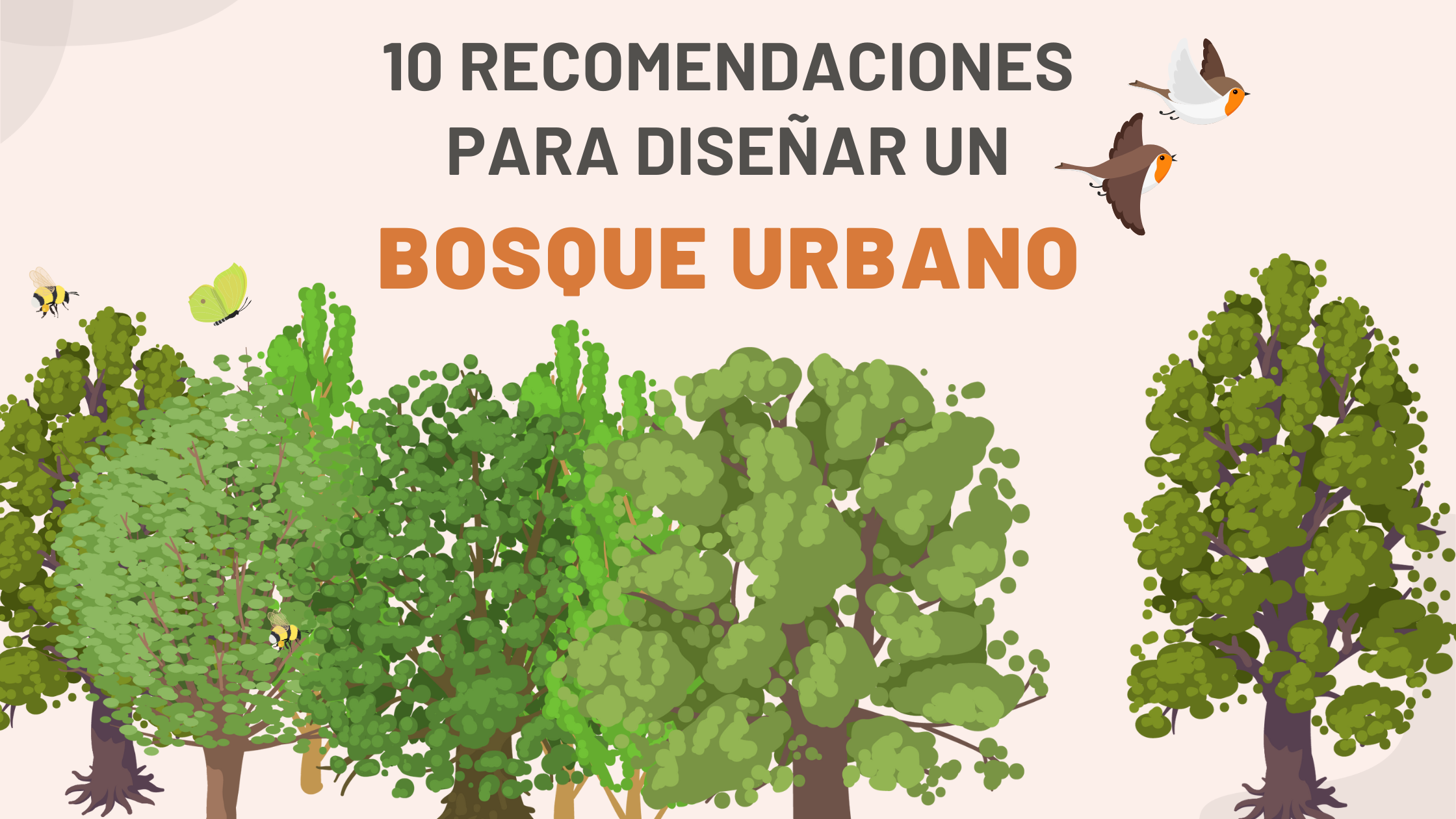 Cómo diseñar un bosque urbano en tu comunidad - MasPlantillas